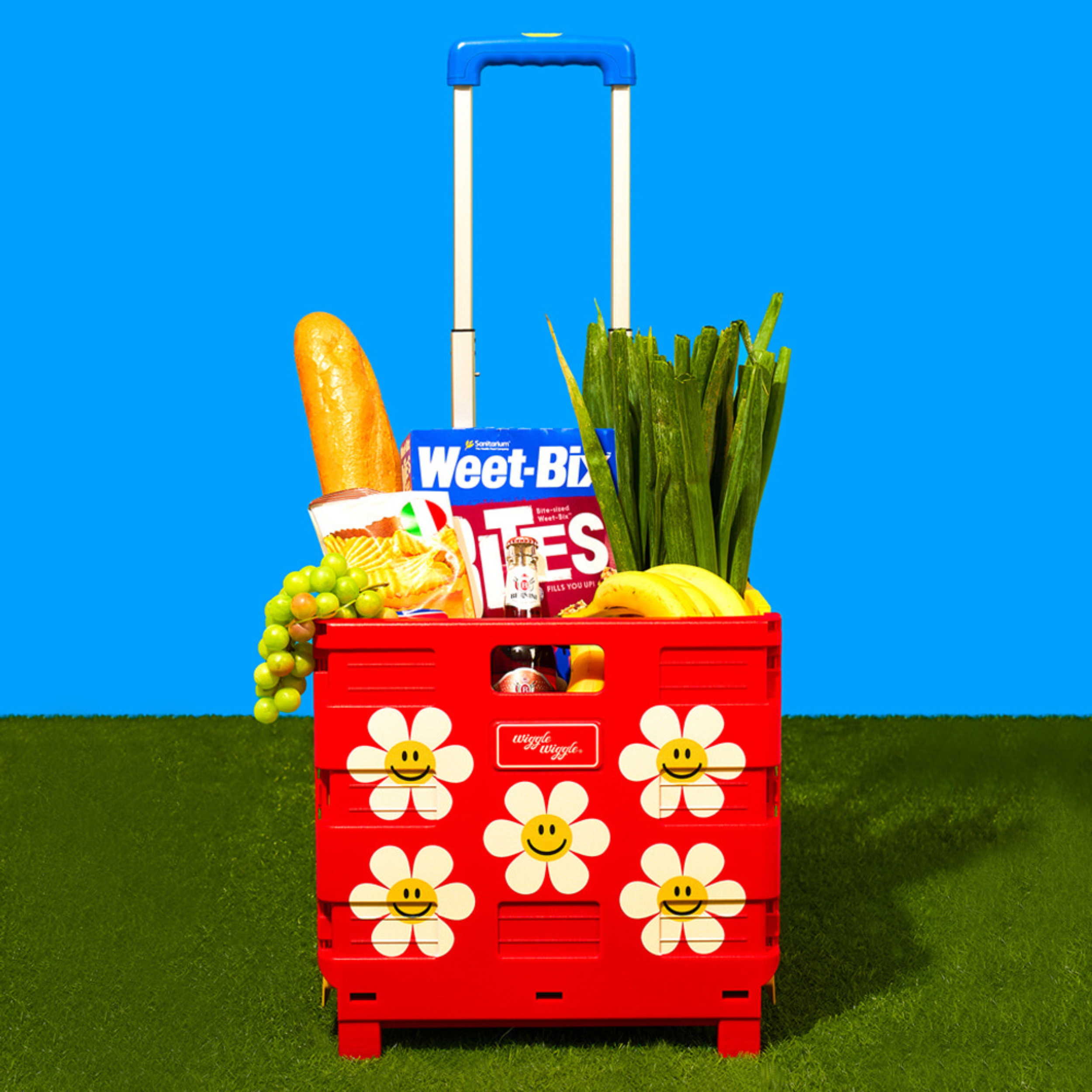 Folding Cart - Smile We Love – Wiggle Wiggle Indonesia